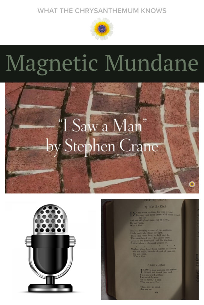 A reading of a quirky poem about curiosity and devotion: “I Saw a Man ...