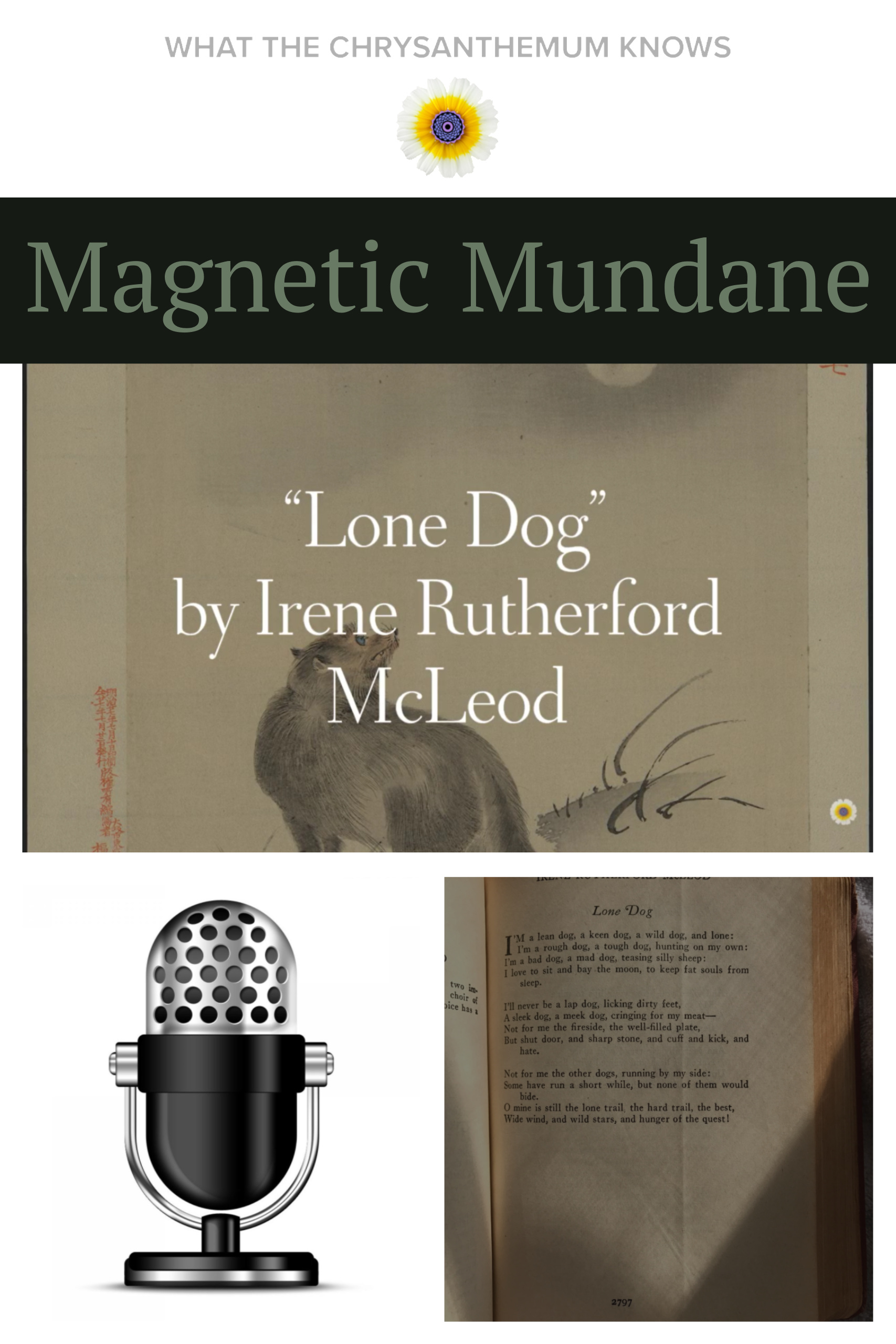A reading of a rousing poem about independence: “Lone Dog” written by ...
